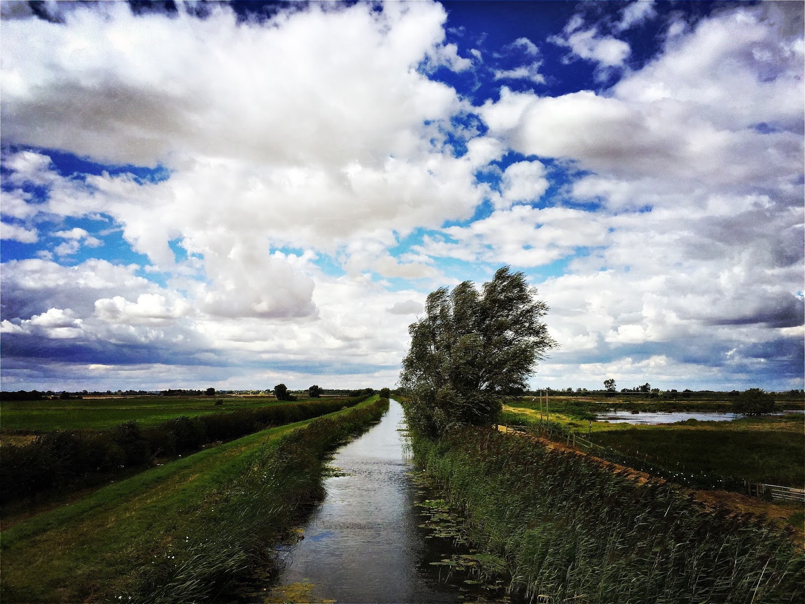 Some colour photos of the Lodes Way and the River Cam by Grantchester ...