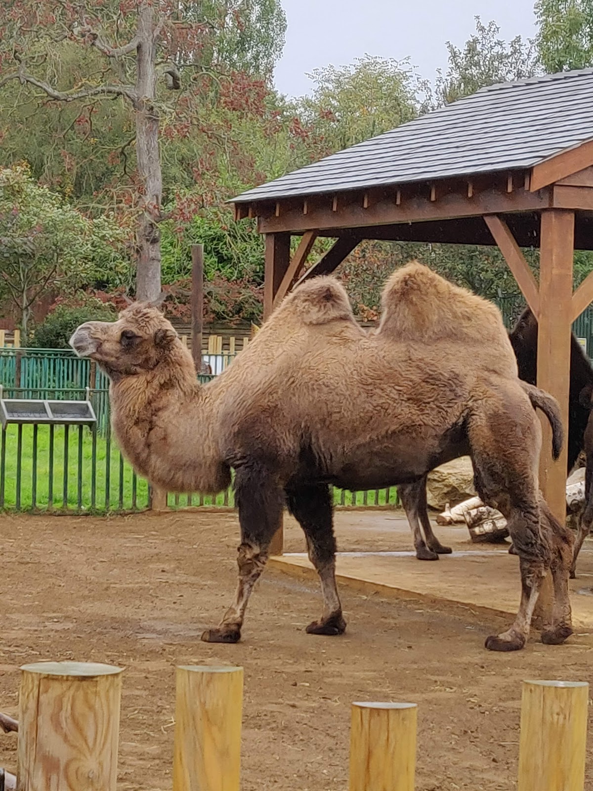 Paradise Wildlife Park Wedding