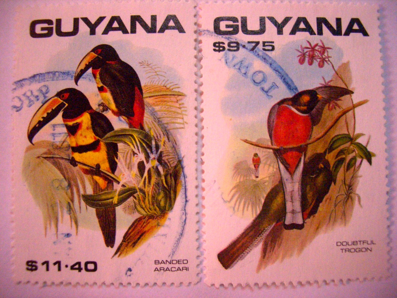 History Of Guyana Stamps at Jack Belser blog