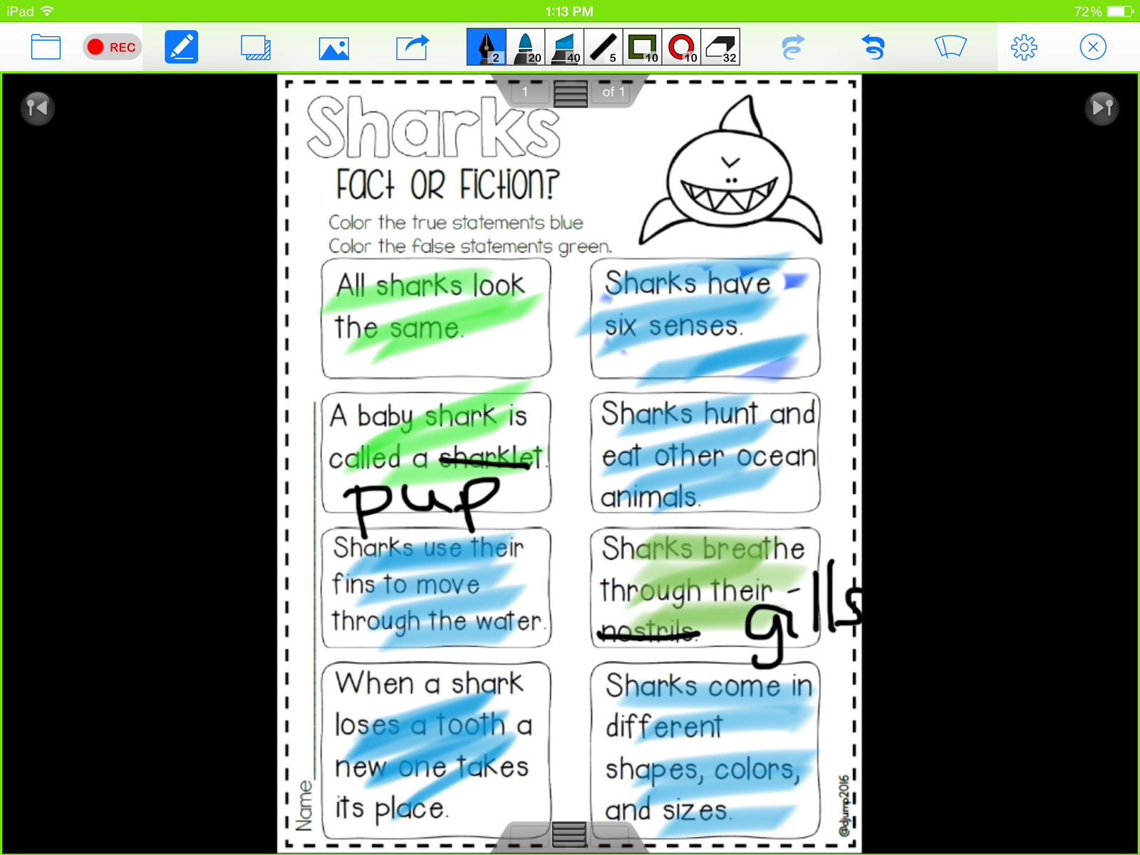 Ocean Week Lesson Plans for Kindergarten & 1st