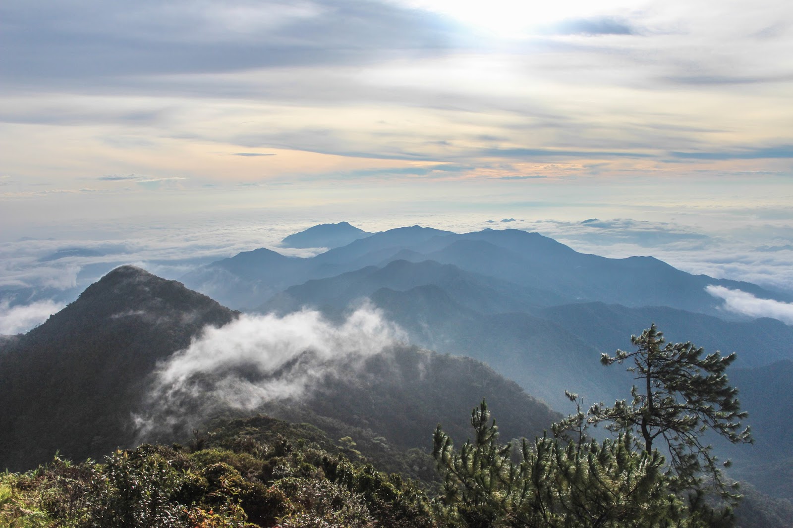 Ikalahan: Mt. Amuyao | Stairway to Heaven