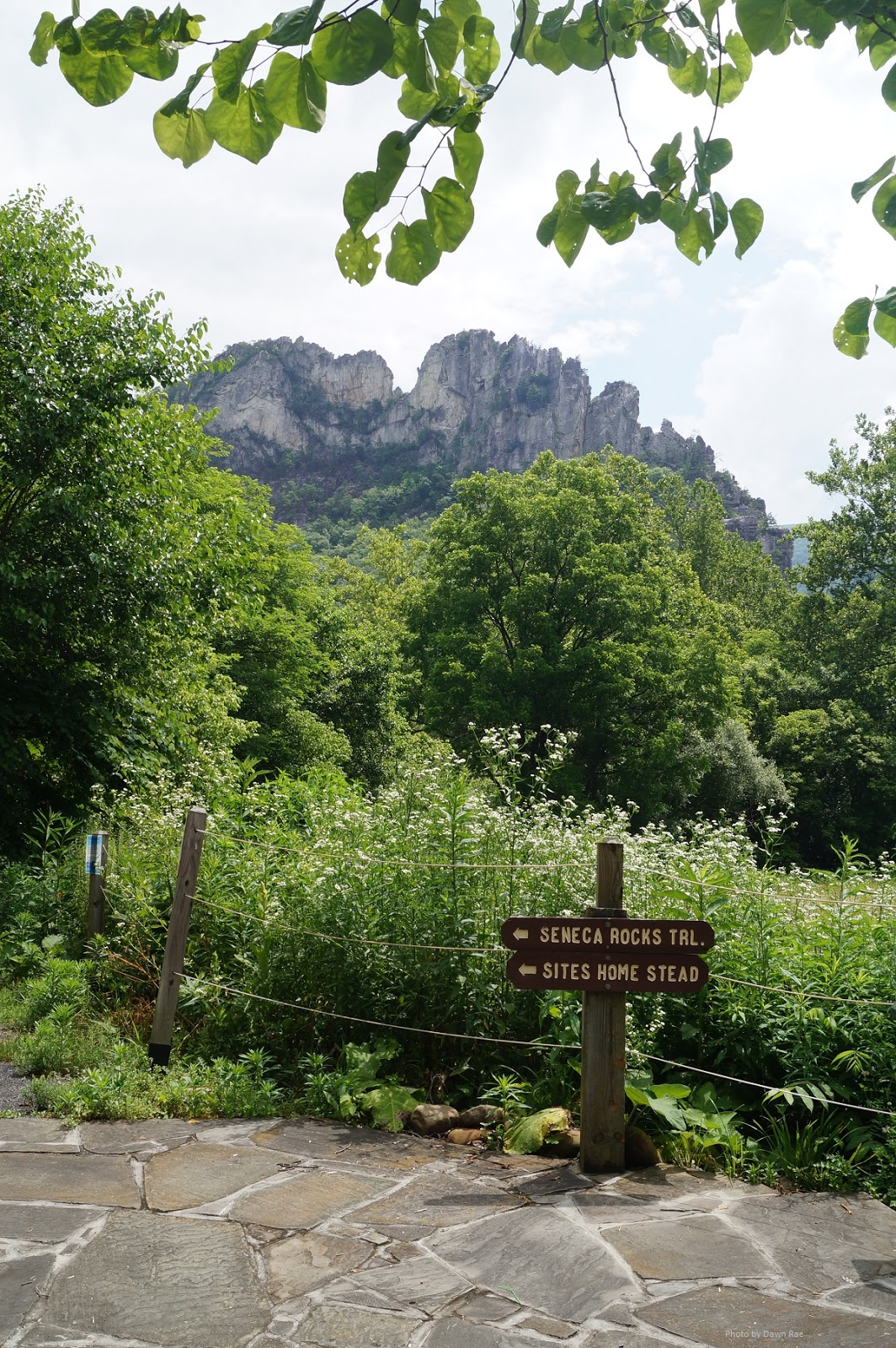 Treasures, Travel, and Tales: Travel: My Seneca Rocks Hike in Photos