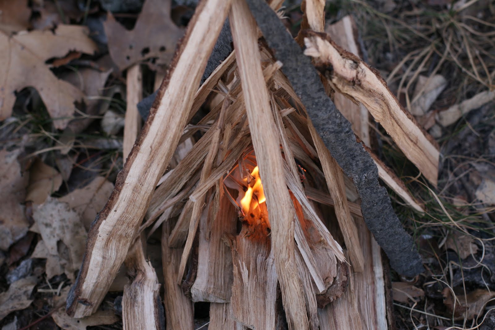 Wood Trekker: How to Make a Fire: A Beginner's Guide