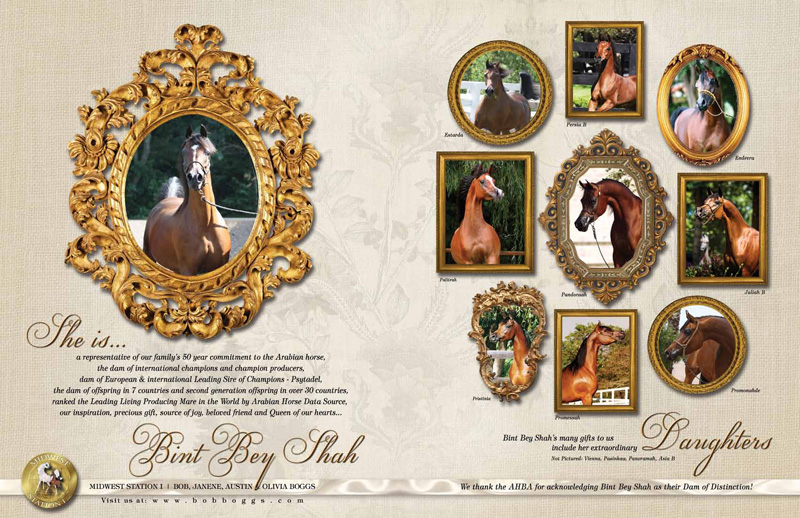 Caballo Árabe Magazine: 2013-07-28
