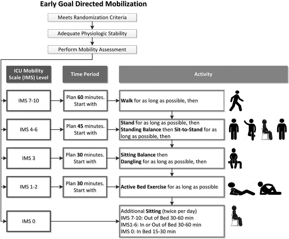 Reflexões sobre Fisioterapia Hospitalar: Como prescrever minha terapia ...