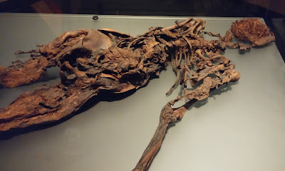 Bog Bodies: Ireland - Wistful Wanderings