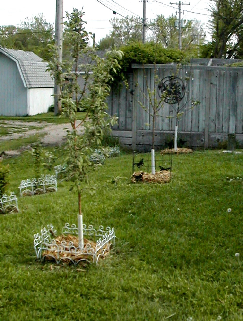 A {tiny} Little Slice of Heaven: May 2014