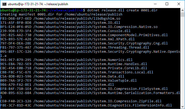 Fire Ice David Pallmanns Technology Blog Create A Cross Platform Console Command In Net Core 9860