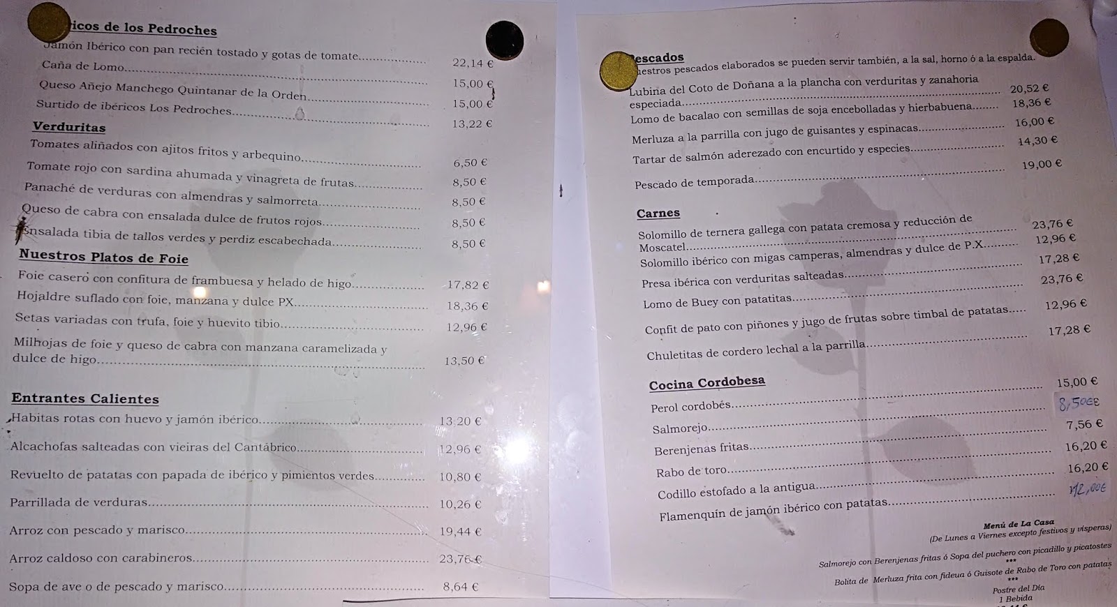 SIBARITA CORDOBÉS: PUERTA SEVILLA: RESTAURANTE EN TIERRA DE PATIOS