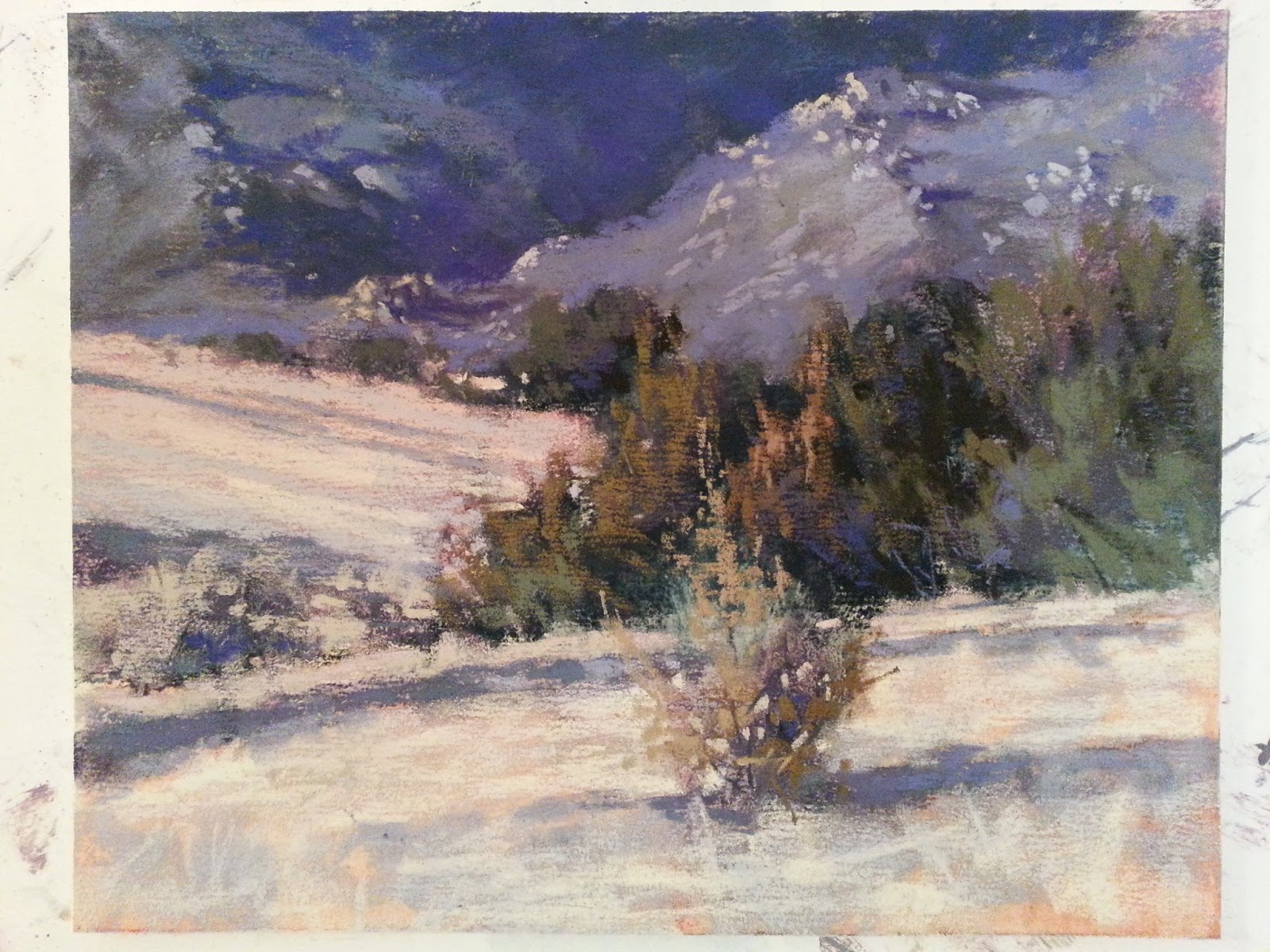 From the Easel of Barbara Jaenicke: June 2013