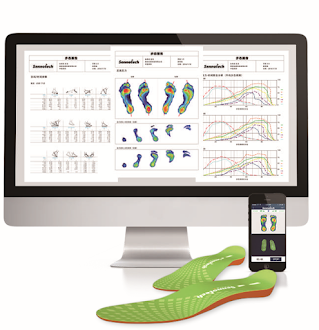 Smart Insole|Gait Training|Wearable Technology Platform|Smart Insole
