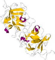 FOODUCATION.ORG: Facts about miracle fruit (miraculin revisited - part 2:2)