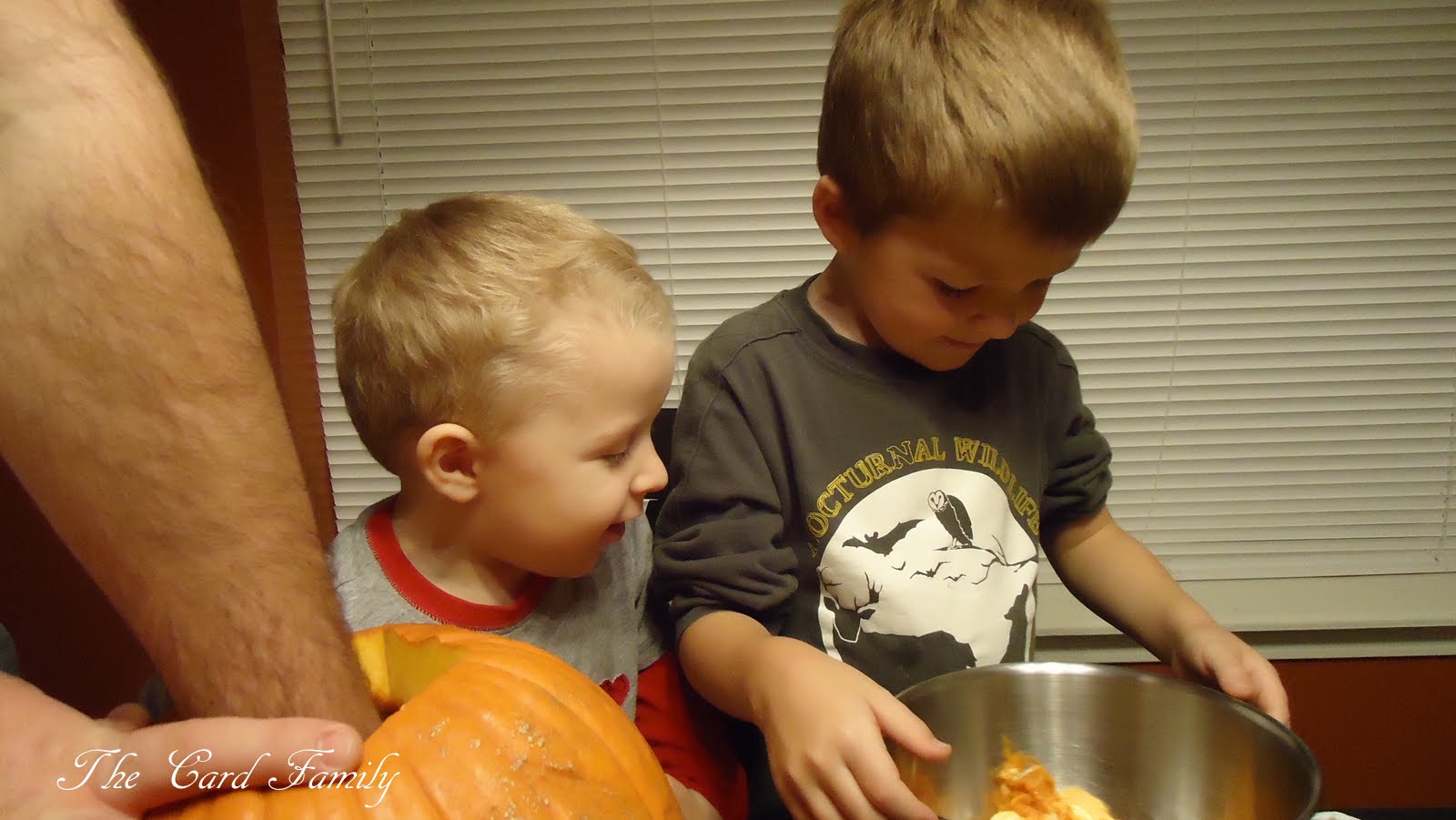 {All Things New}: 2011