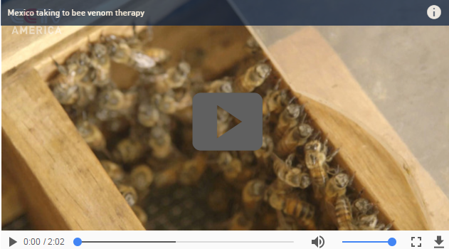 Apitherapy News: VIDEO: Popularity of Bee Venom Therapy Growing in Mexico
