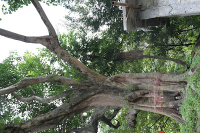 Tīrtha-Yātrā: GARUDA GANGA, VRIDDHA BADARI, JOSHIMATH