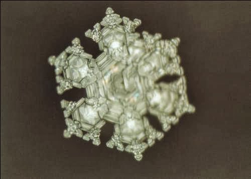 Partikel-partikel air ~ Water Resources and Human is One United