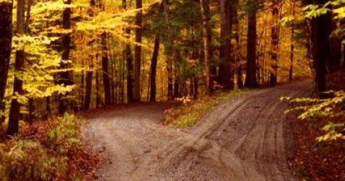 Two Roads Diverged Clipart