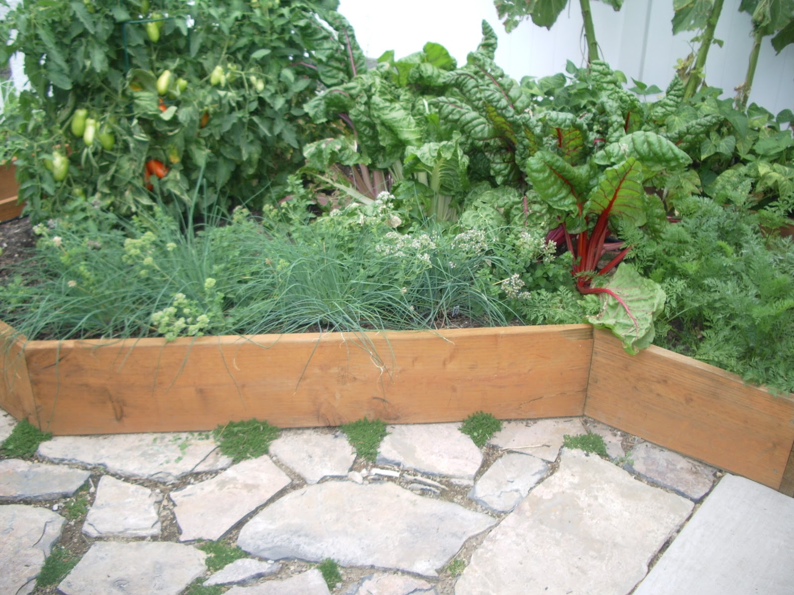 The Gardener's Spot: Why Build Grow Boxes?