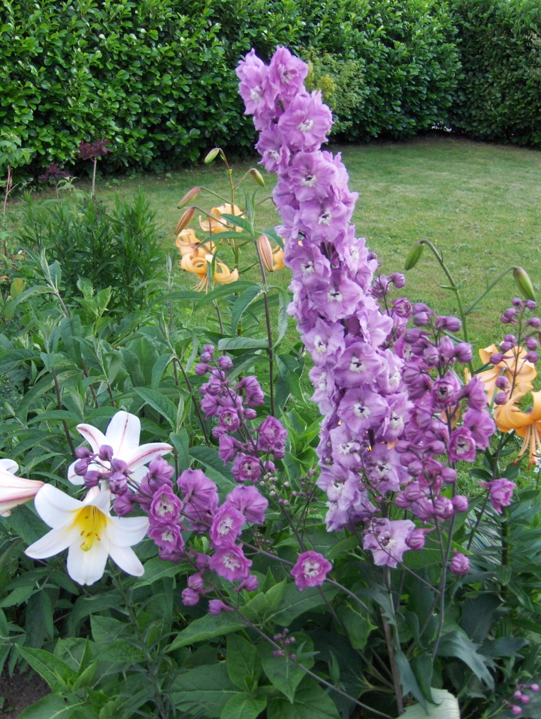 Haveprojektet: Planteliste