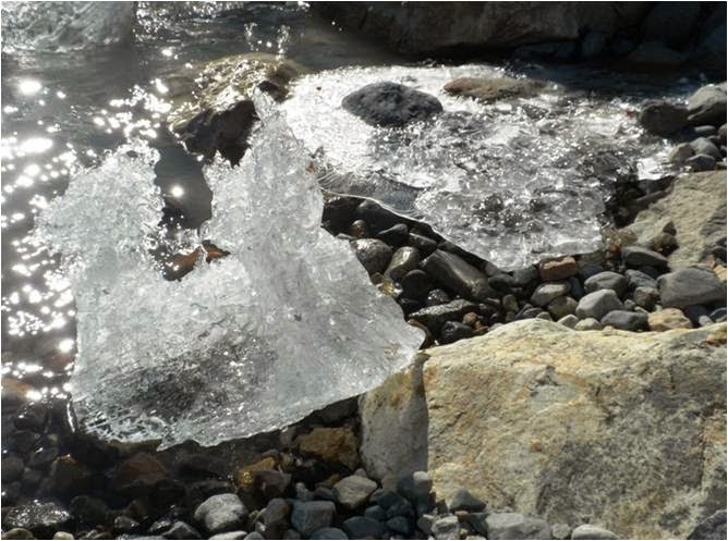 zerezas-curiosidadesvarias: El Impacto Humano en el Derretimiento de ...