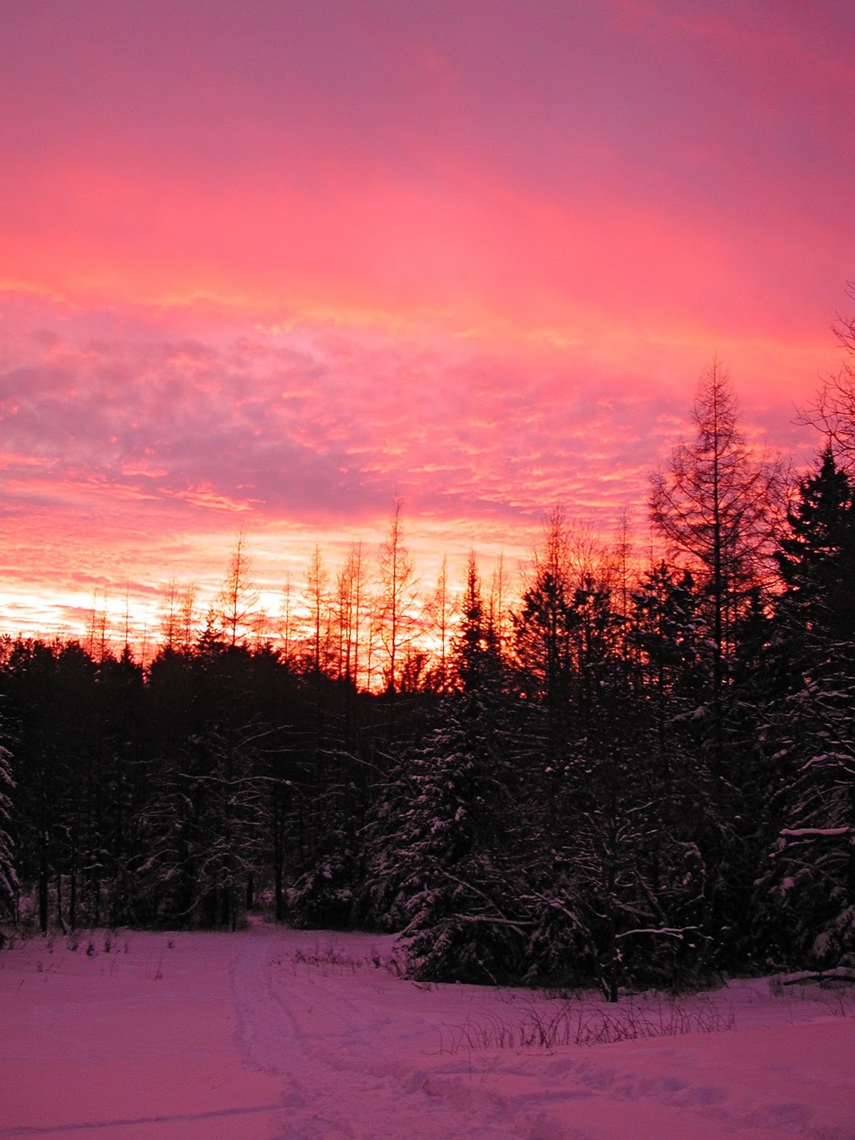 Fern Glen Inn - Seasons and Reasons: January in Pictures