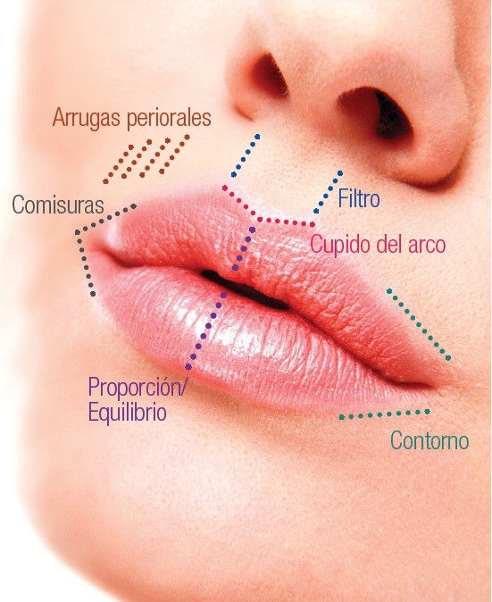 Clínica Medicina Estética Dr. Martinez Cunill: LABIOS PERFECTOS