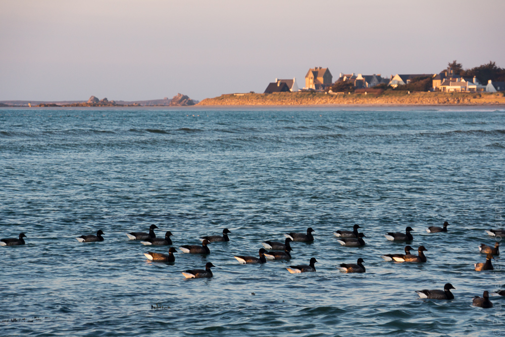 balade photo en Finistère, Bretagne © Paul Kerrien: arrivée au Dossen ...