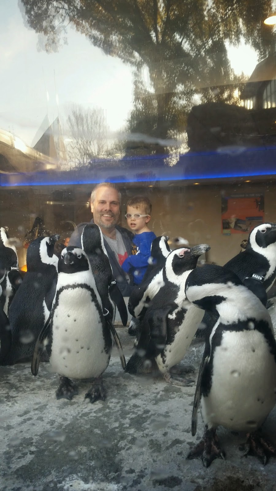 Pneumothorax. Ptosis. Torticollis. Joubert. Miracle.: Connor is 3!!