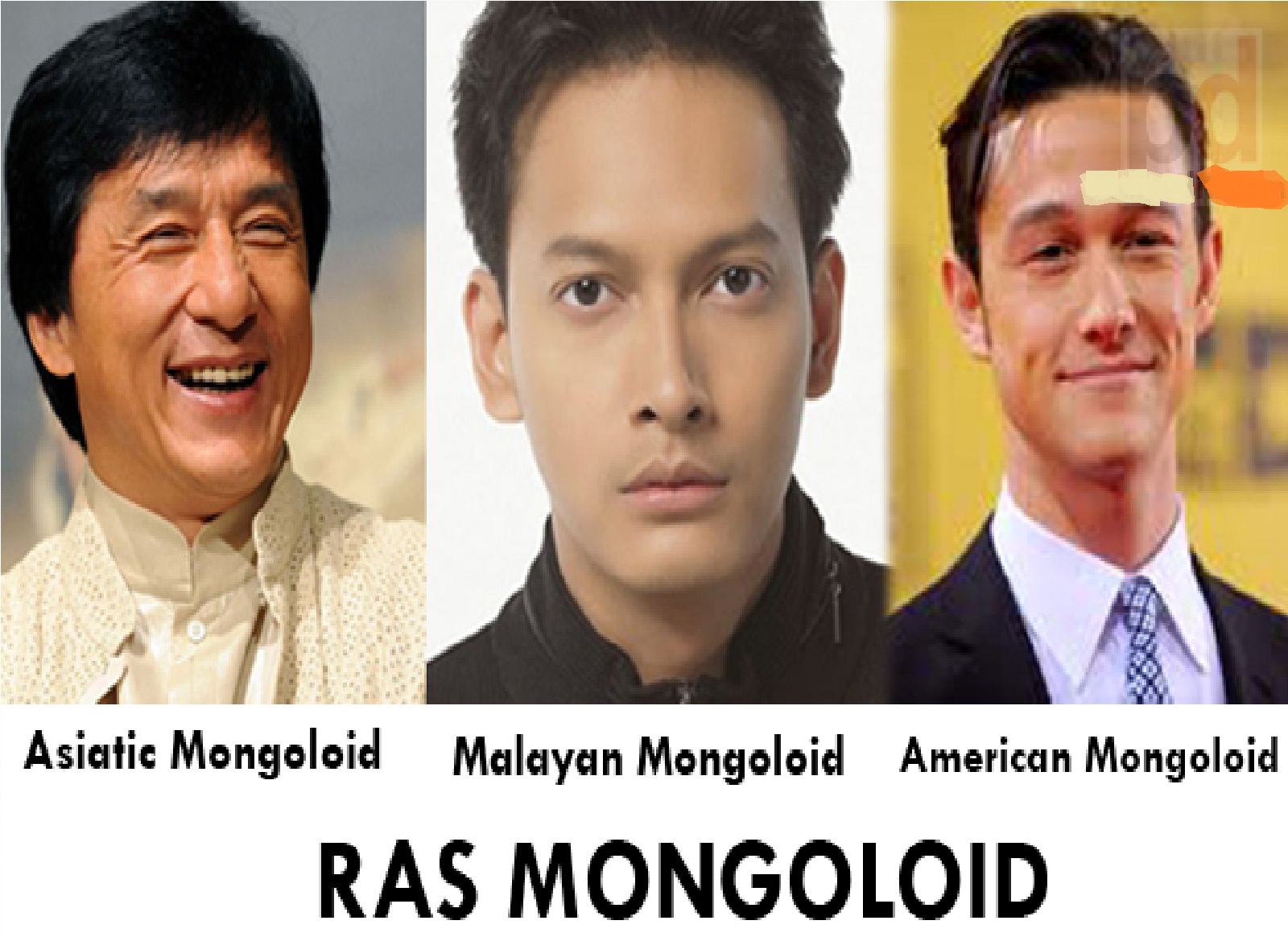 Gambar CiriCiri Ras Asiatic Mongoloid / Mengenal Ciri Ciri Ras Malayan ...