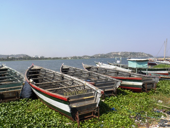 TEMBEZA MACHO NA PICHA ZA UDIFERENTI SOKO LA KIMATAIFA KIRUMBA MWALONI ...