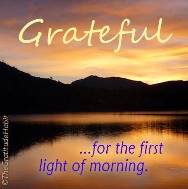 The Gratitude Habit Journal: Grateful for Morning Light