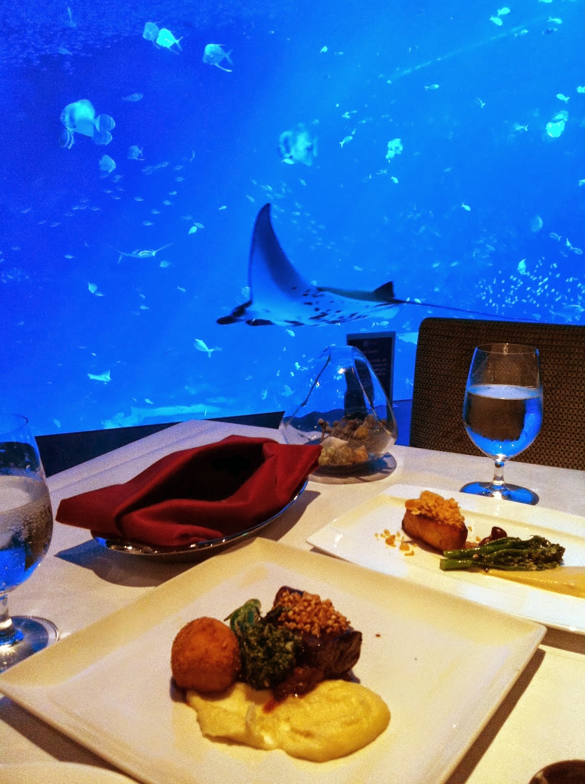 Ocean Restaurant by Cat Cora - S.E.A Aquarium Singapore | JACQSOWHAT ...