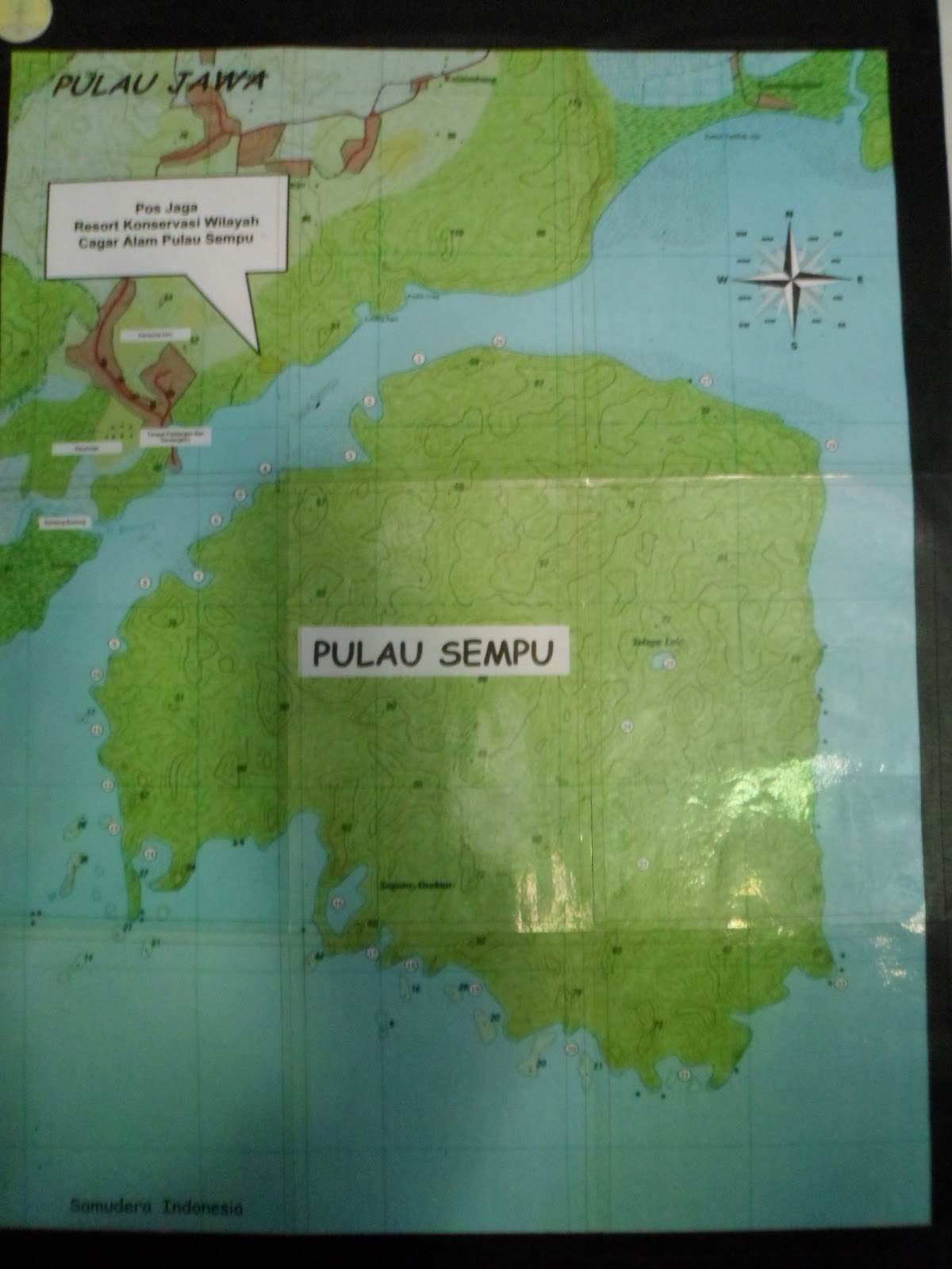 mamu_mam: Trip and Adventure Sempu Island - (Laguna) Segoro Anakan