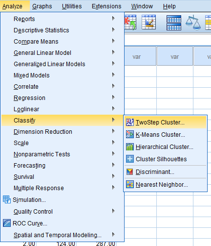 Reflections of a Data Scientist: Two Step Cluster (SPSS)