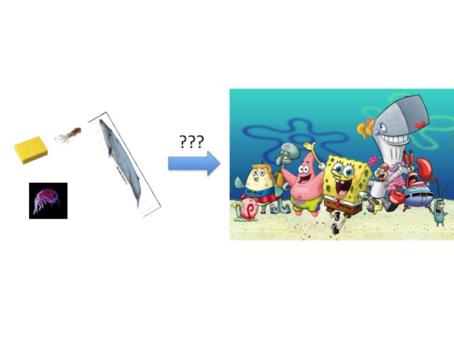 Neuroscience Bro: Self-Consistent and Coexisting Spatial Scales in ...