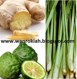 Dari Pena Seorang Wanita Bekerjaya & Berbisnes: Krim Panas berherba ...