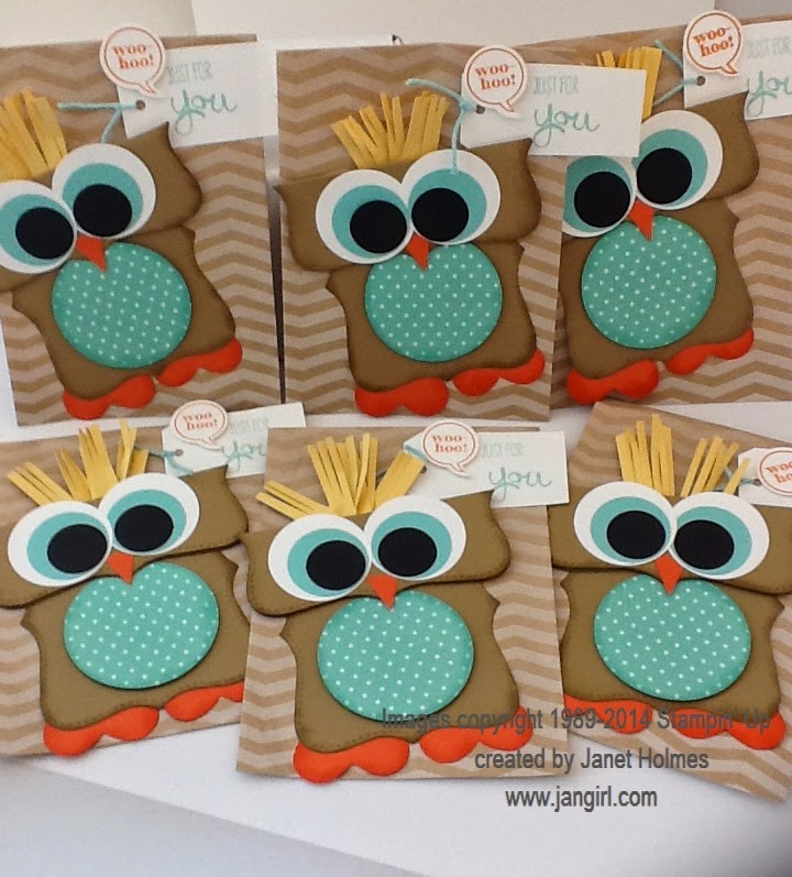 Stampin' Up Top Note Owl Chevron Gift Bag | Jan Girl