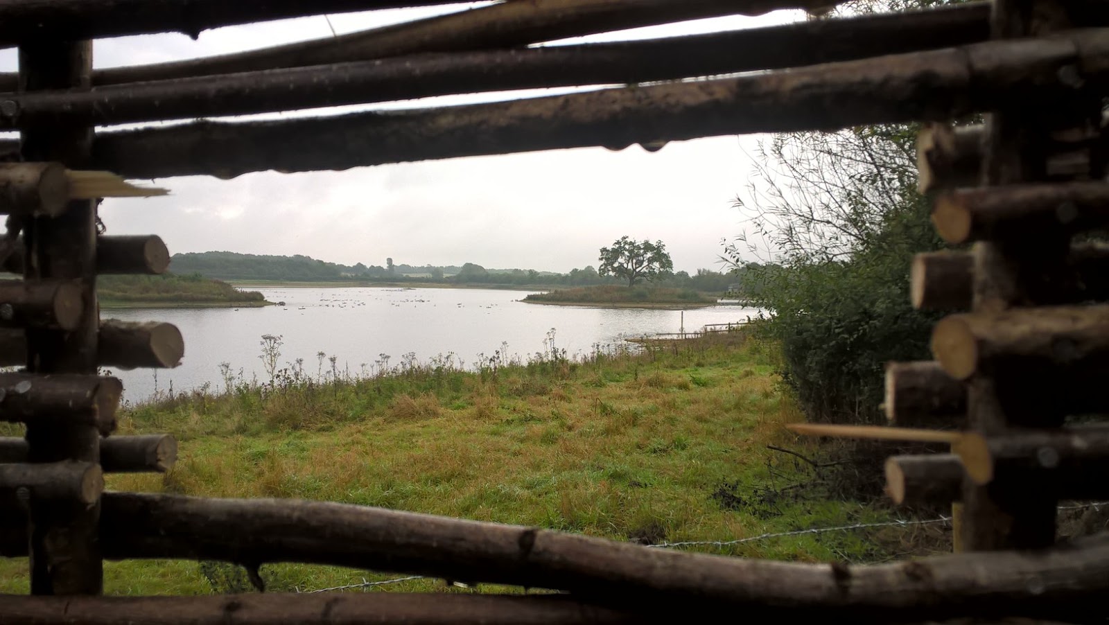 Lower Windrush Valley Project: New Bird Hide Screen at Rushy Common ...