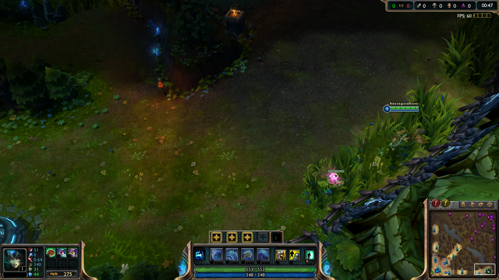 League of Legends - Guides & Strategies: Botlane Pink Ward Placement