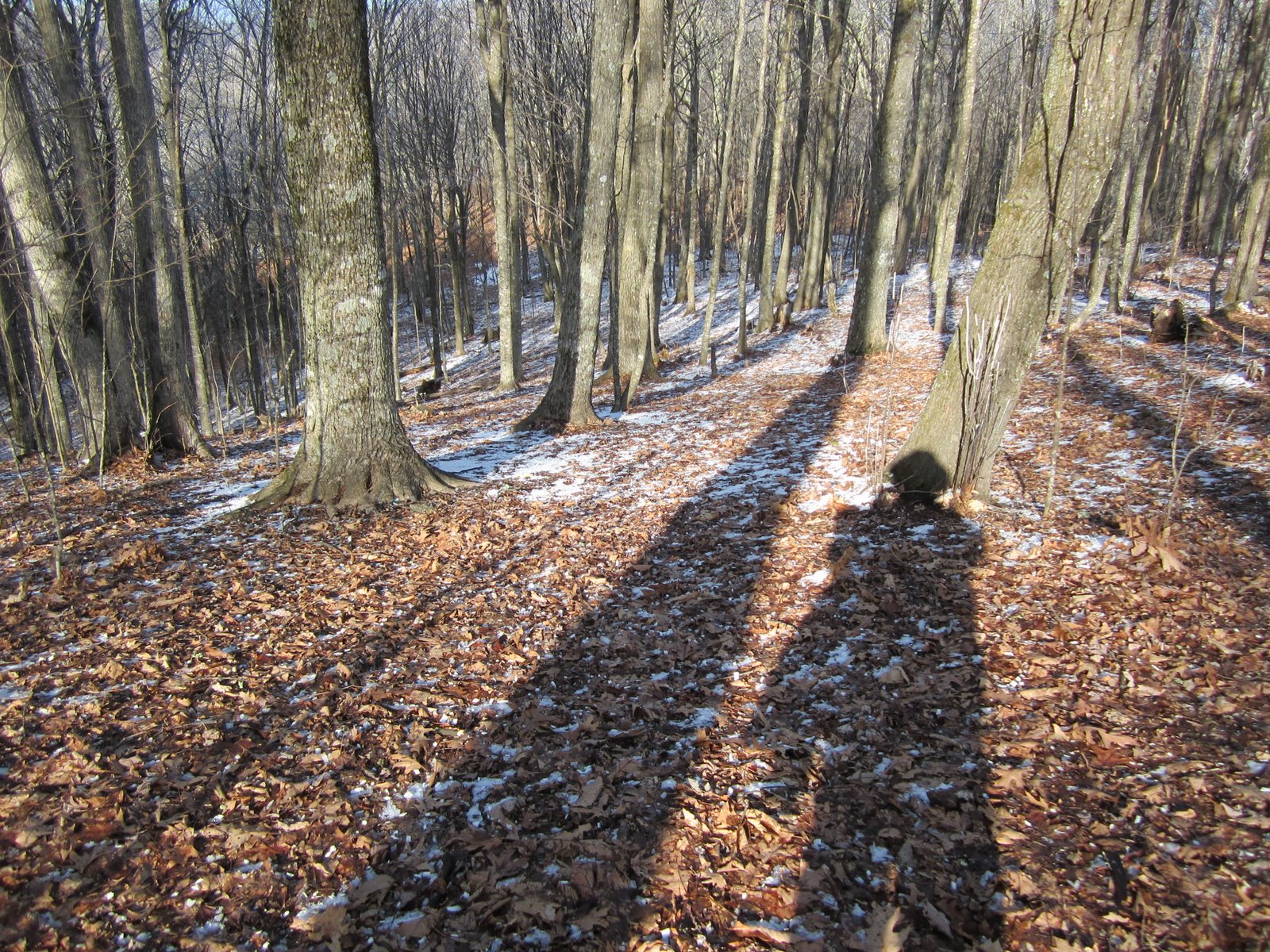 Hiking--Canoeing--Backpacking--Camping--Living: Max Patch ...