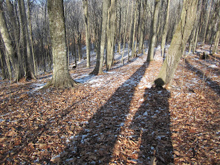 Hiking--Canoeing--Backpacking--Camping--Living: Max Patch ...