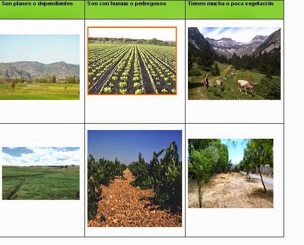 Tipos de suelo humifero - Imagui