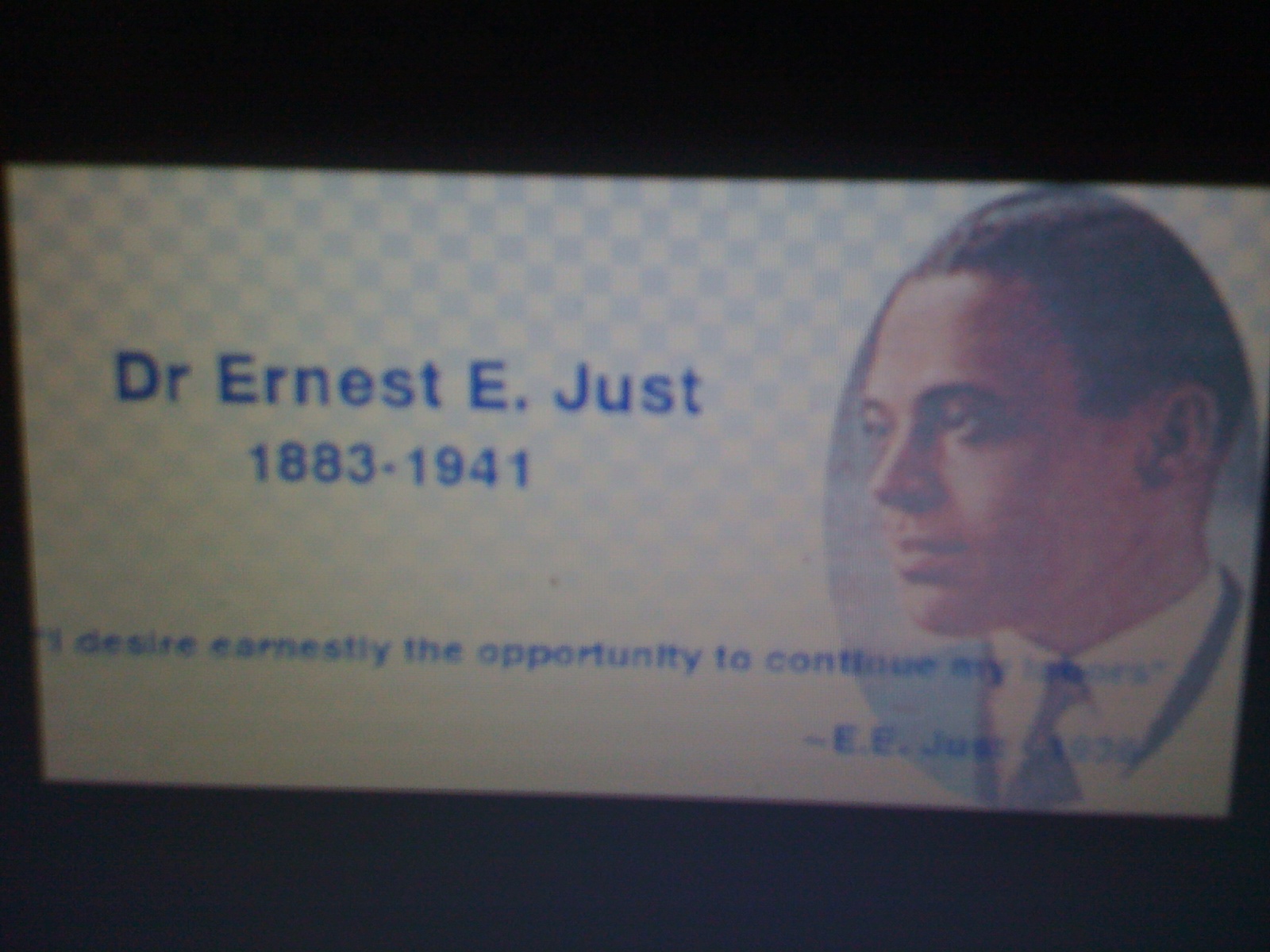 THE BLACK SOCIAL HISTORY:: BLACK SOCIAL HISTORY : AFRICAN AMERICAN ...