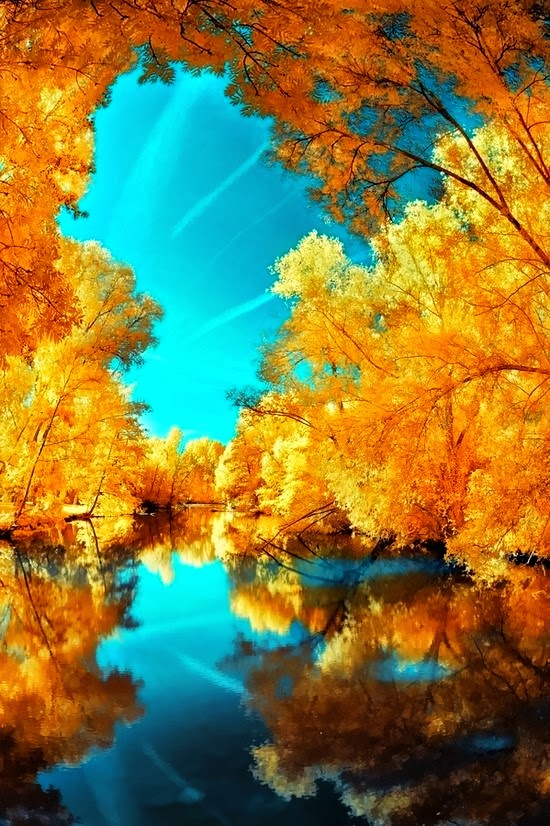 Autumn Reflection ~ Photos Hub