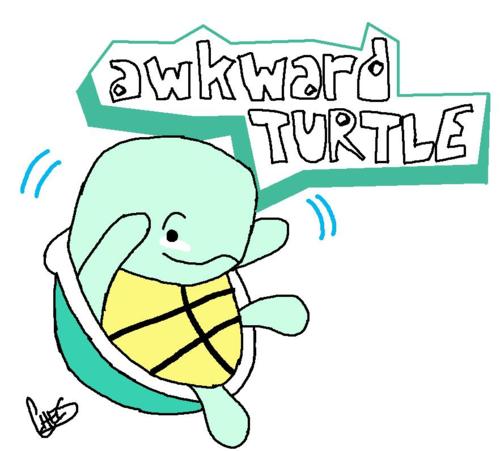 Awkward Turtle