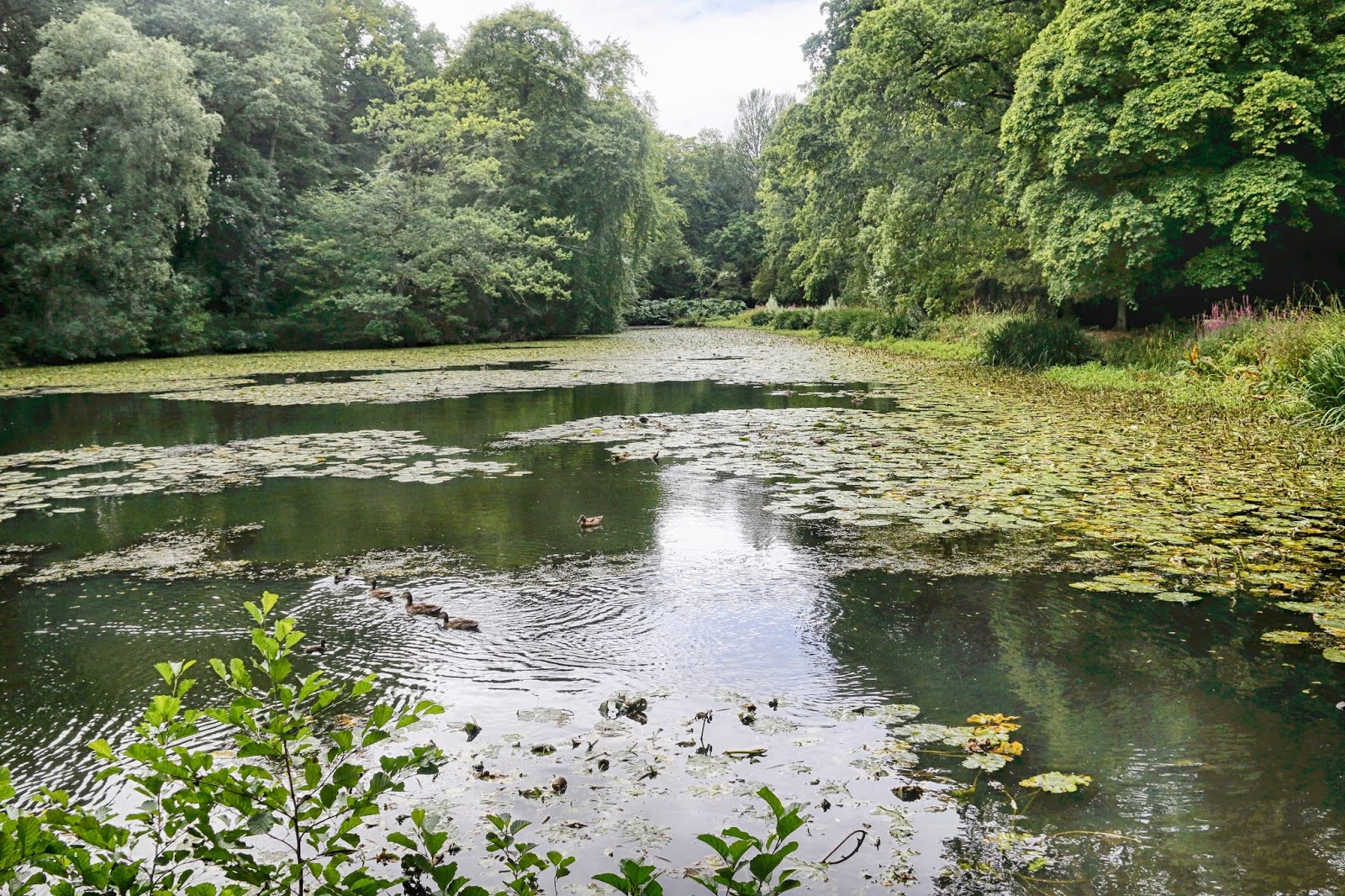 JibberJabberUK: Walled Garden at Wallington