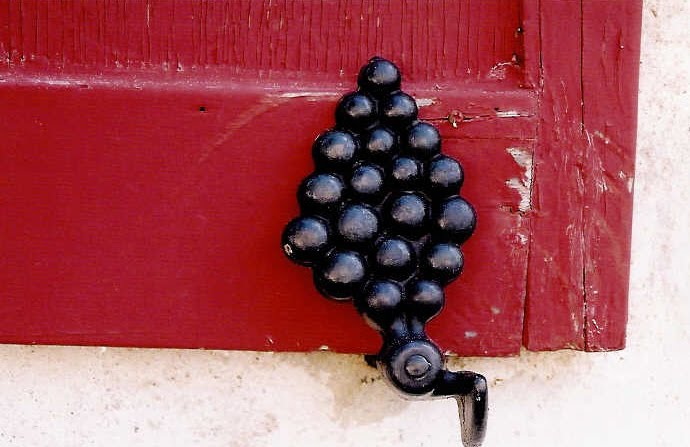 Charleston Photos: Shutter Dogs