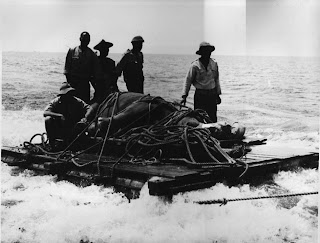 Elizabeth M Reese: OPERATION NOAH