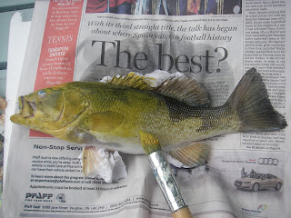 CHARLES WEISS ART: Smallmouth Bass on Rice Paper Print