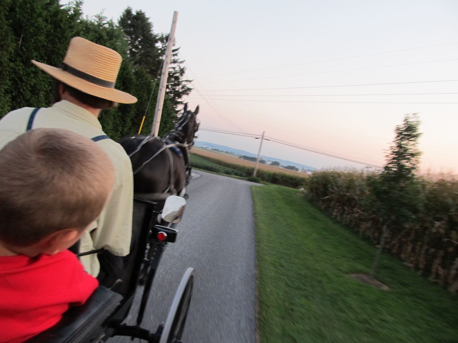 Barns Family USA Odyssey: Buggy Ride